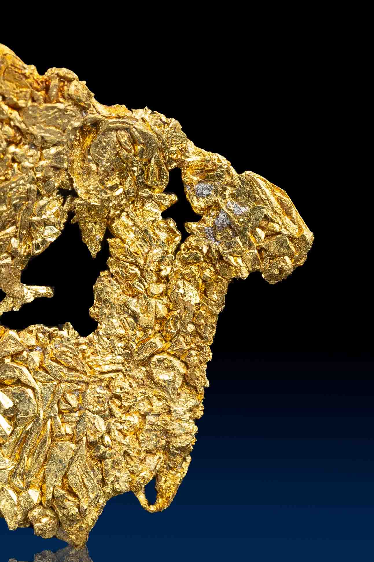 Magnificent Natural Crystallized Gold Specimen - Farncomb Hill, CO - 2. ...