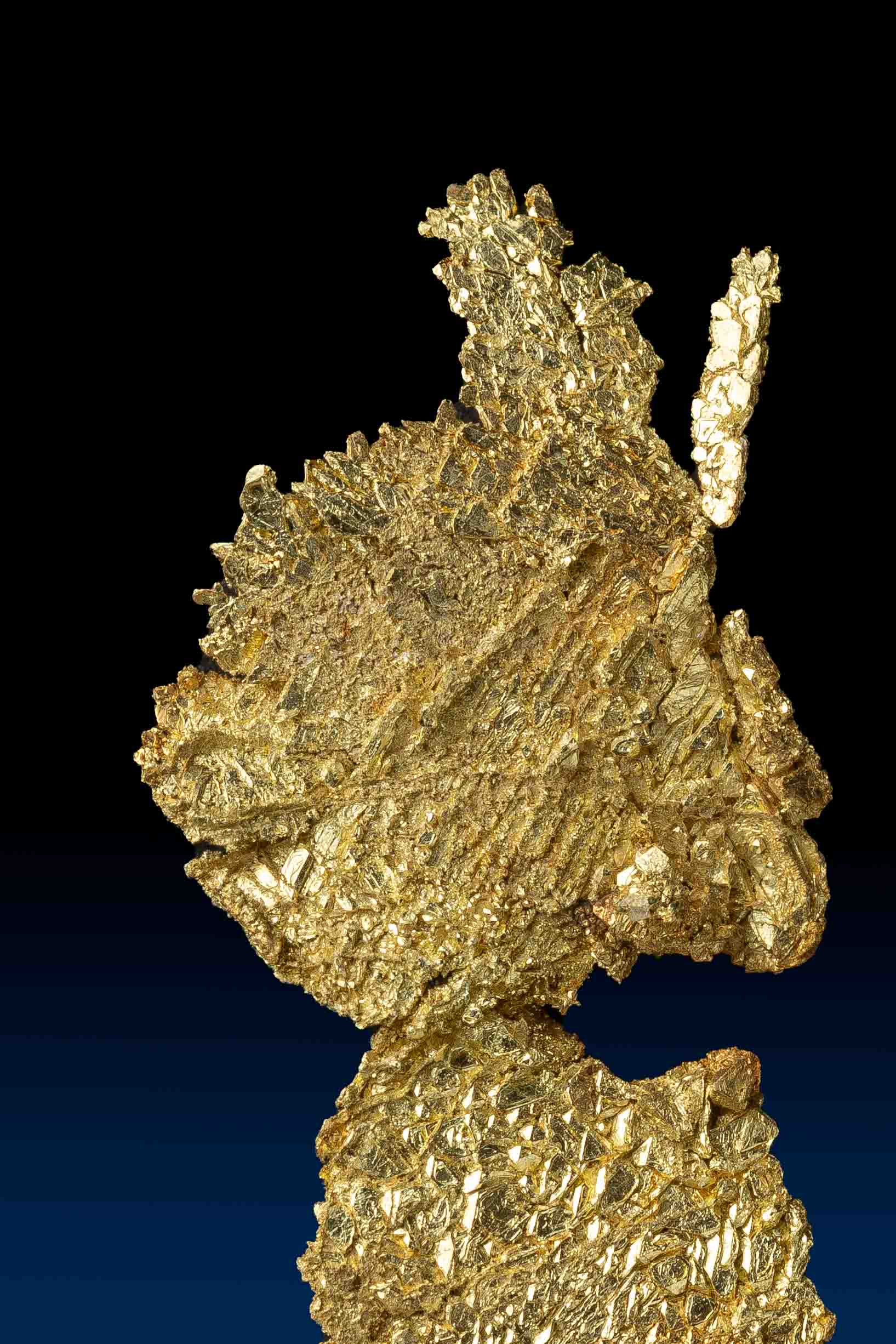 Incredibly Unique Crystallized Gold Specimen - Farncomb Hill, CO - 2.10 ...