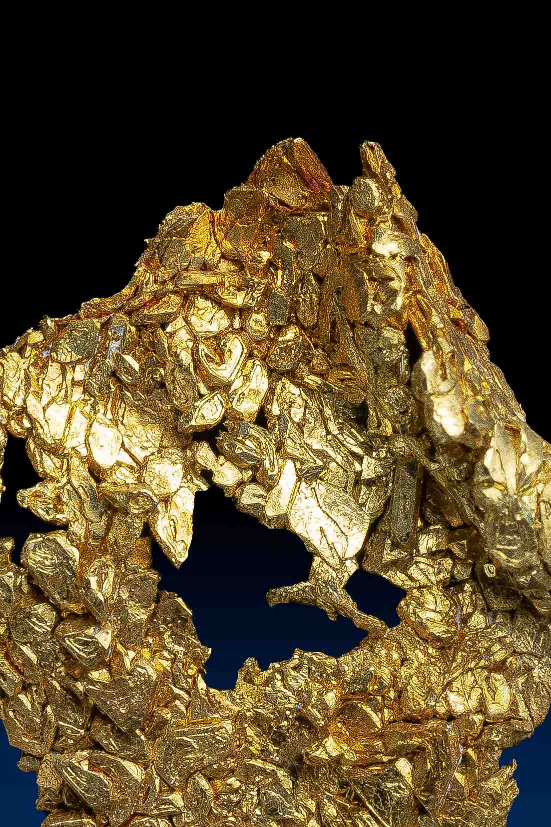 Magnificent Natural Crystallized Gold Specimen - Farncomb Hill, CO - 2. ...