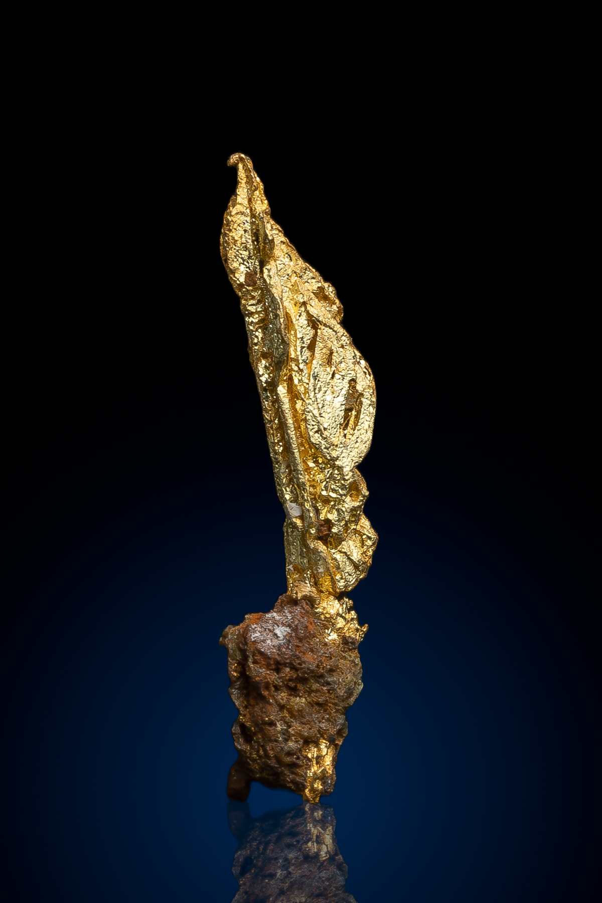 Rare Crystallized Wire Gold - Morocco [RB603] - $338.00 : Natural gold ...