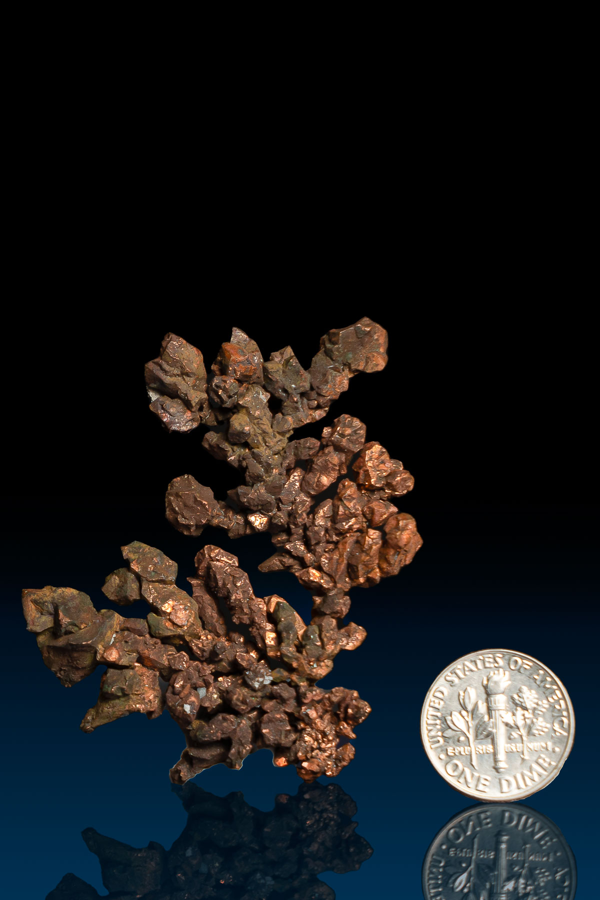 Unique and Unusual Dendritic Copper Specimen - Kazakhstan [MC206 ...