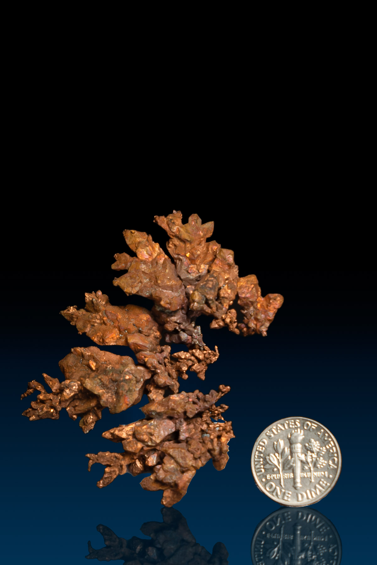 Dendritic Cresent Shaped Natural Copper Specimen - Kazakhstan [MC215 ...