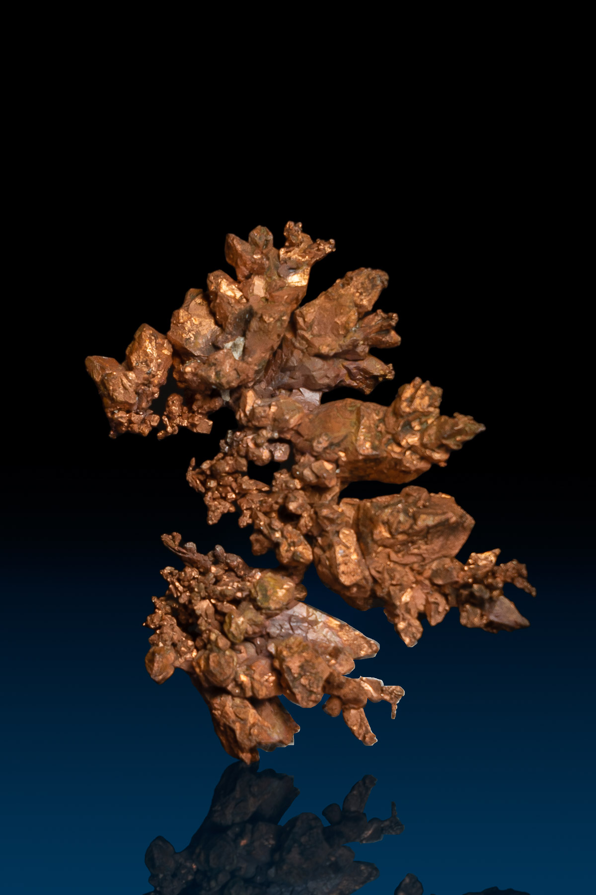 Dendritic Cresent Shaped Natural Copper Specimen - Kazakhstan [MC215 ...