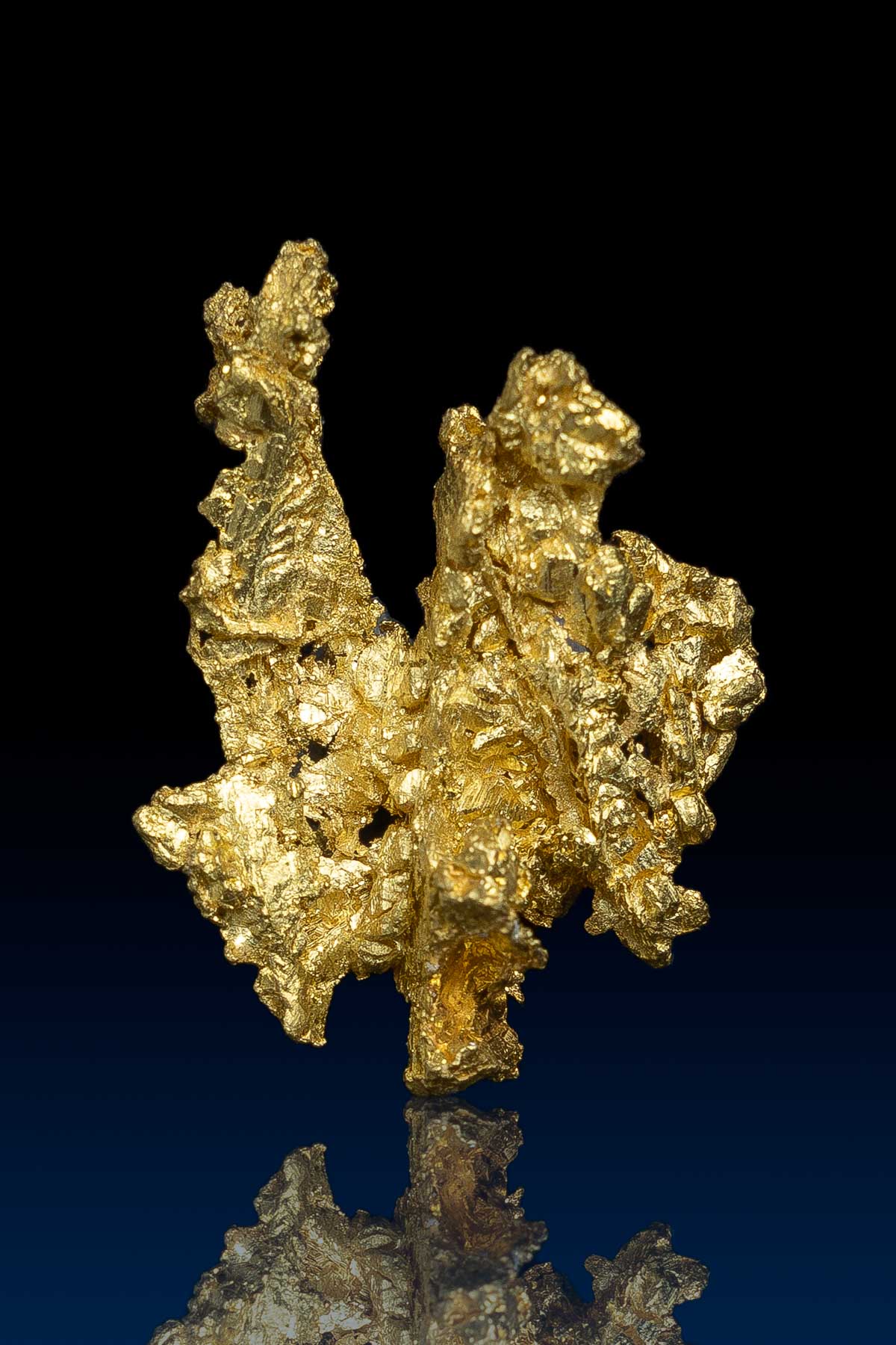 Sharp and Faceted Natural Gold Crystal - Diltz Gold Mine, CA [RB966 ...