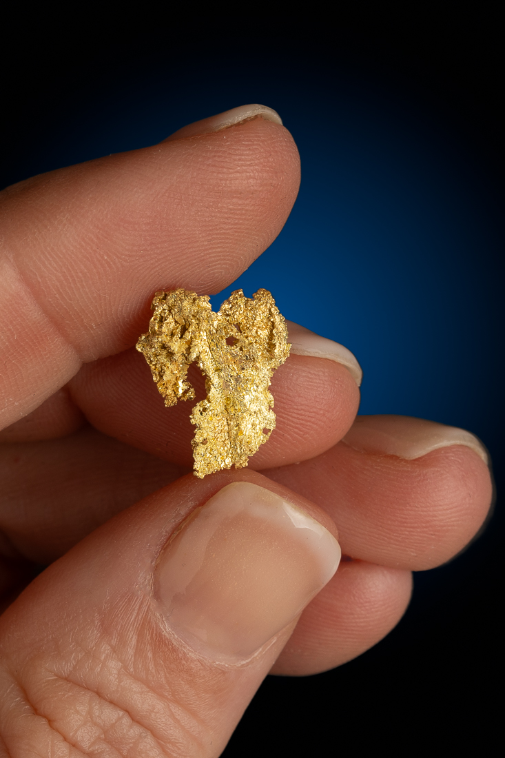Rare and Brilliant Crystallized Gold from Breckenridge, CO - 0.90 grams ...