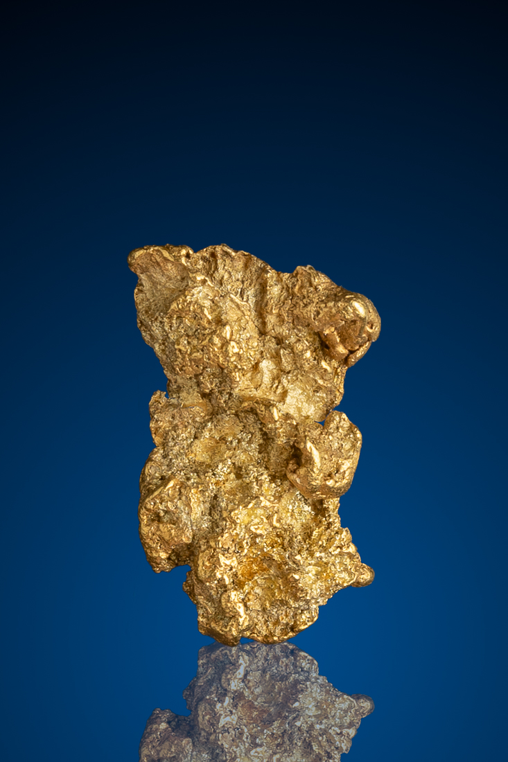 Rare Location - Denali Park, Alaska Gold Nugget - 4.14 grams [M98 ...