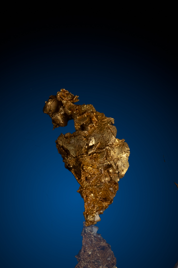 Delicate, Lacy Natural Gold Nugget - Little Johnny Mine, CO - 0.43 ...