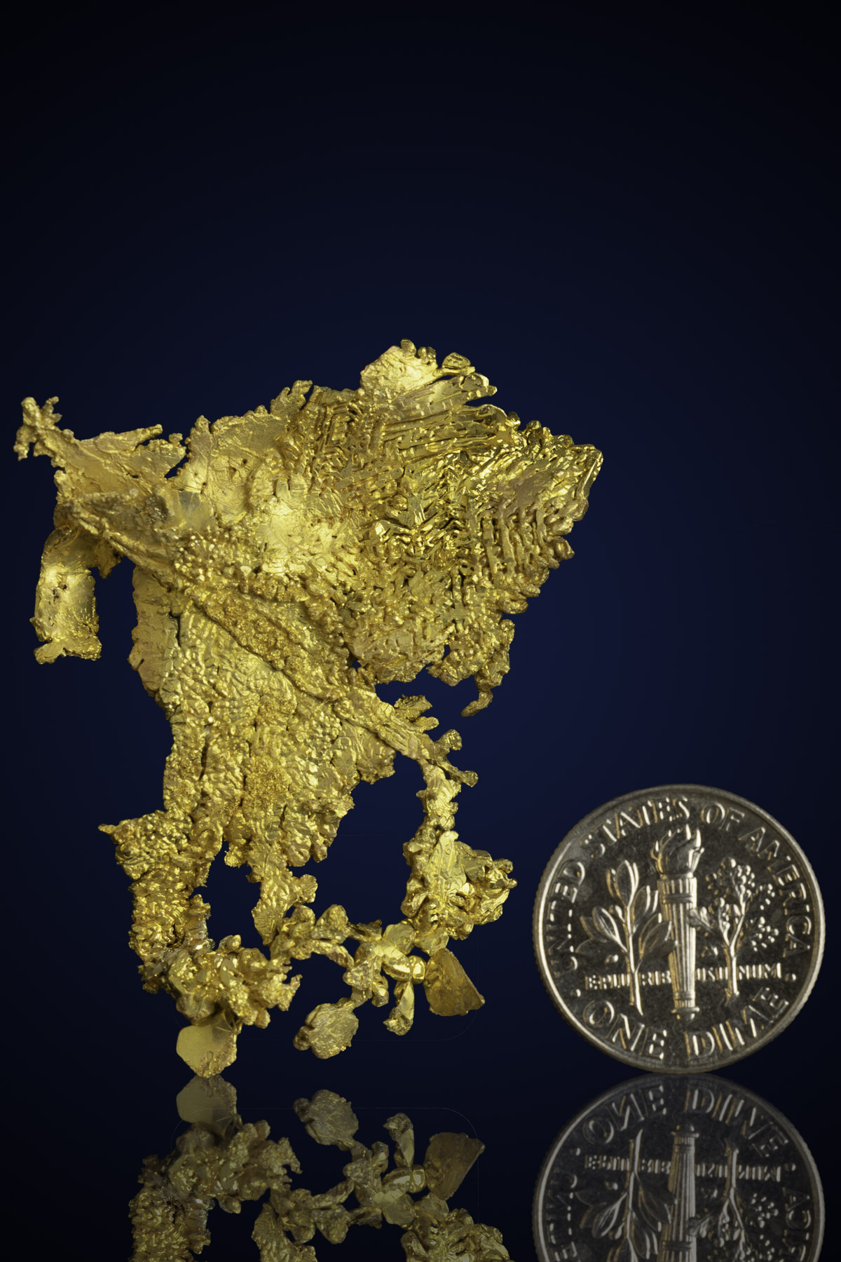 Striking, Leaf-Like Natural Gold Specimen - Eagle's Nest Gold Mine, CA ...