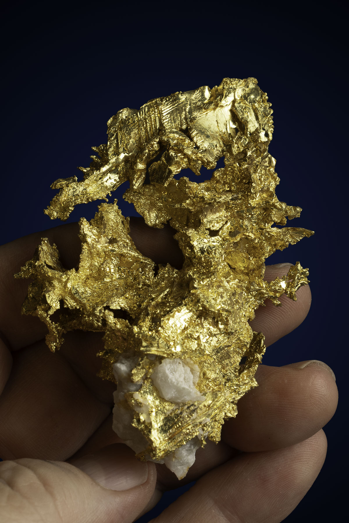 Sharp, Stunning Natural Gold Specimen with Quartz - Eagle's Nest Gold ...